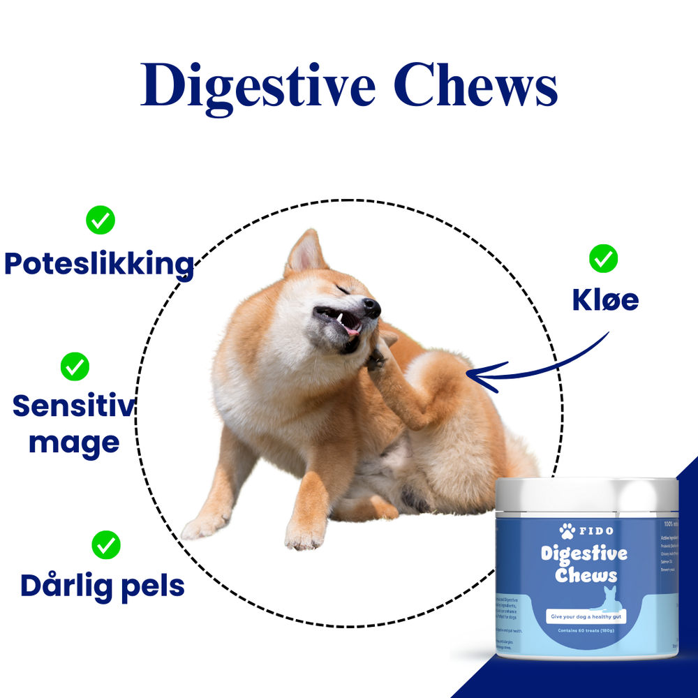 Digestive Chews - bidrar til god tarmhelse hos hunder