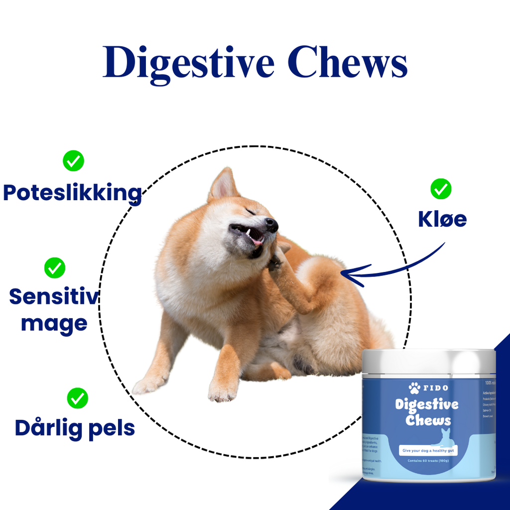 Digestive Chews - Gratis Prøvepakke